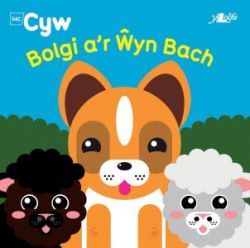 Cyfres Cyw: Bolgi a'r Ŵyn Bach – Awen Teifi